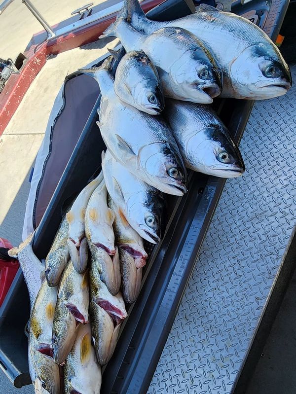 Fishing Lake Roosevelt - Kokanee Fishing, Fishing Charter